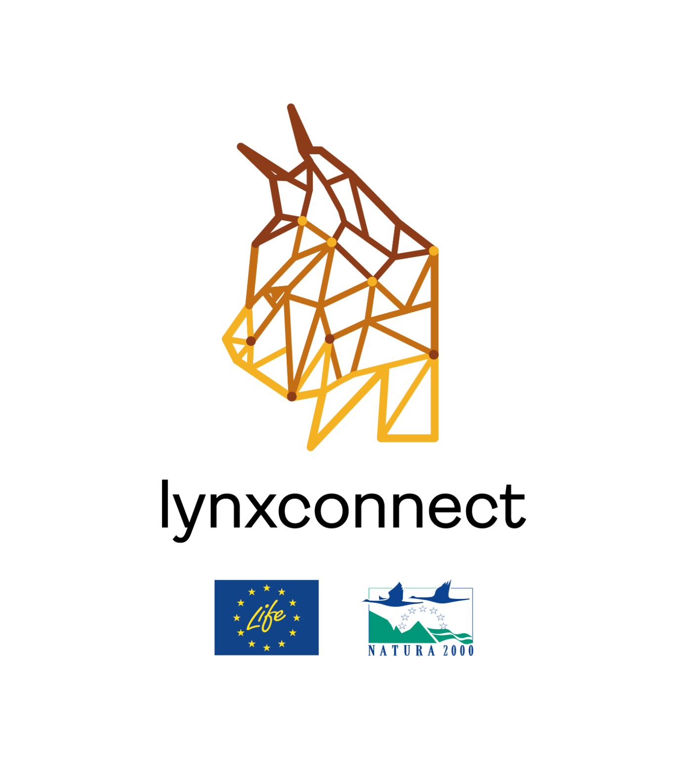 LYNXCONNECT and IP launch an awareness campaign for the protection of ...