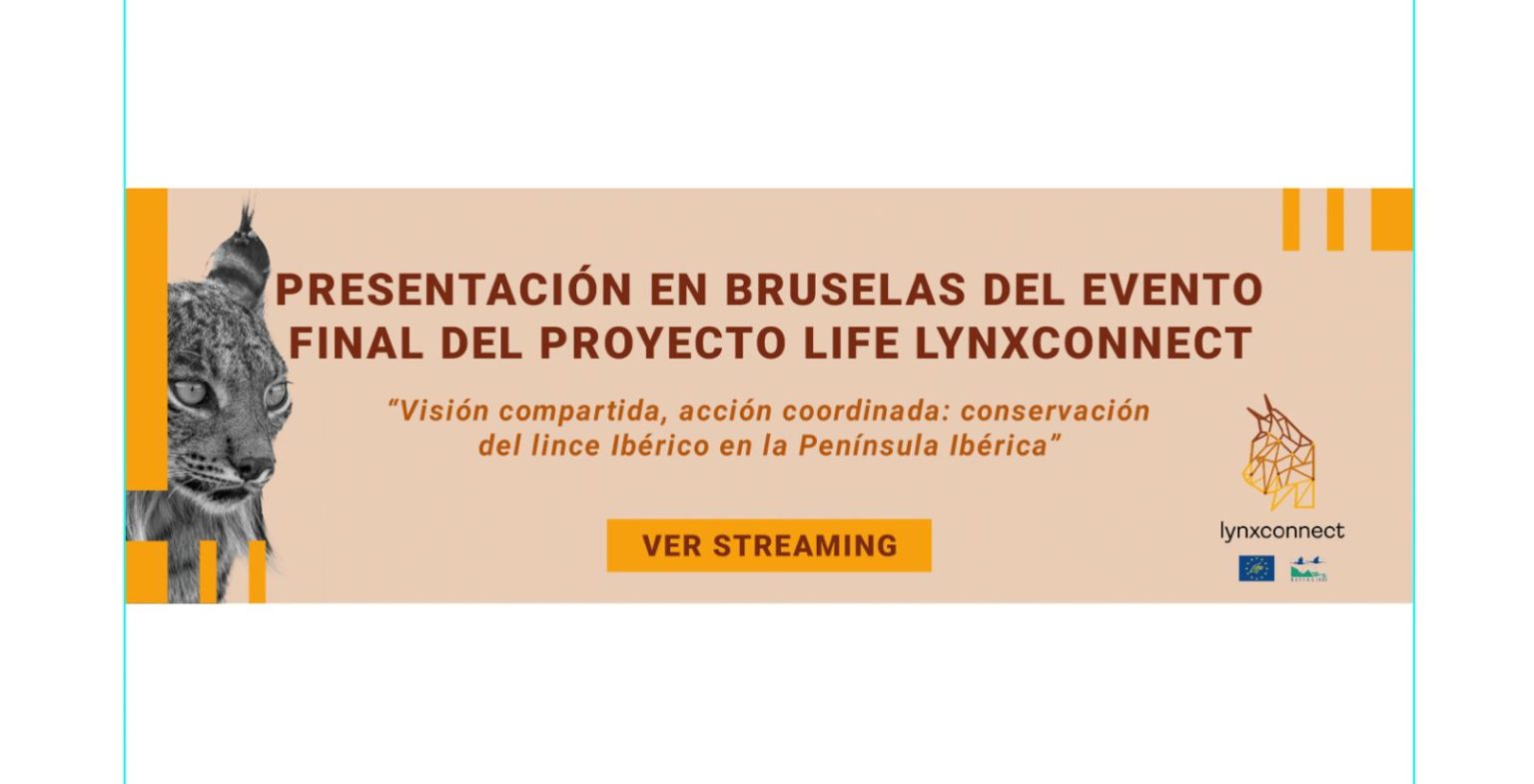 Presentation of LIFE LYNXCONNECT in Brussels – Life Lynxconnect