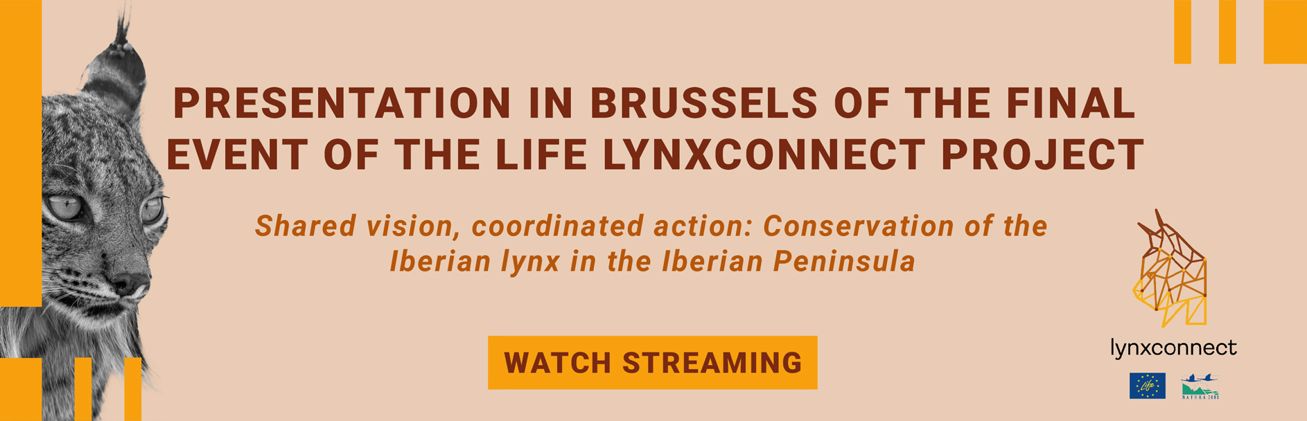 Life Lynxconnect – Life Lynxconnect Website